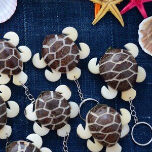 Sea Turtle: Natural Tagua Carvings, 53x50mm, Sea Turtle Keychain, 1 ...