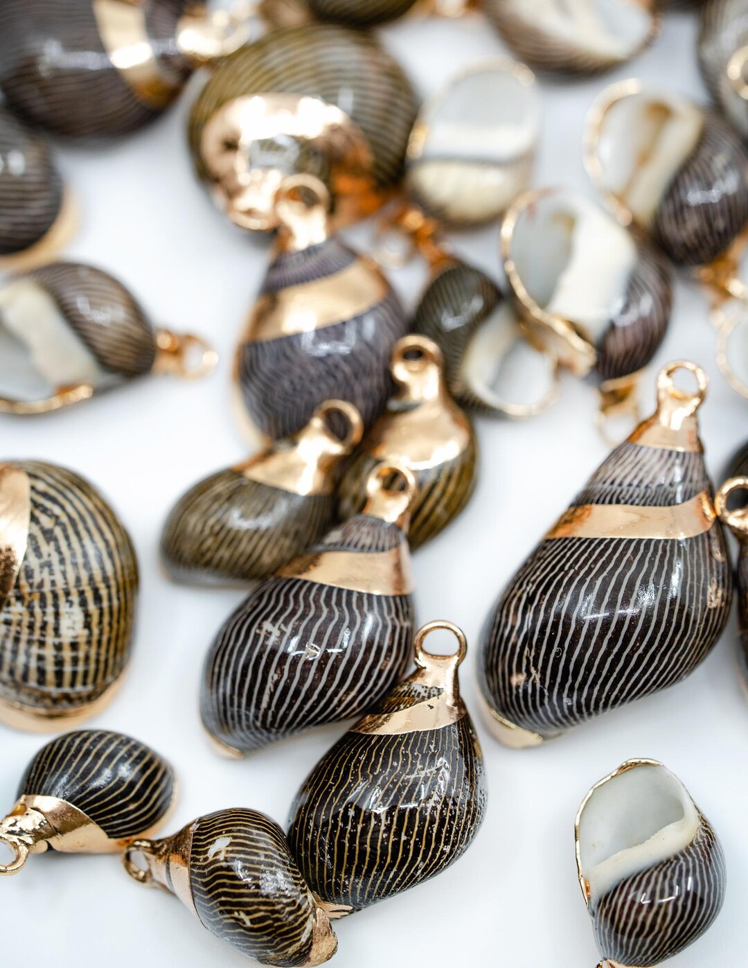 Spiral Shells: Zebra Gold Electroplated Spiral Shells for Jewelry ...