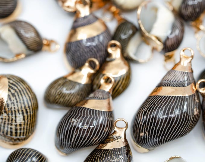 Spiral Shells: Zebra Gold Electroplated Spiral Shells for Jewelry ...