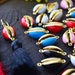 Enamel Cowrie: Gold Plated Enamel Cowry Shells Links Pukka - Etsy