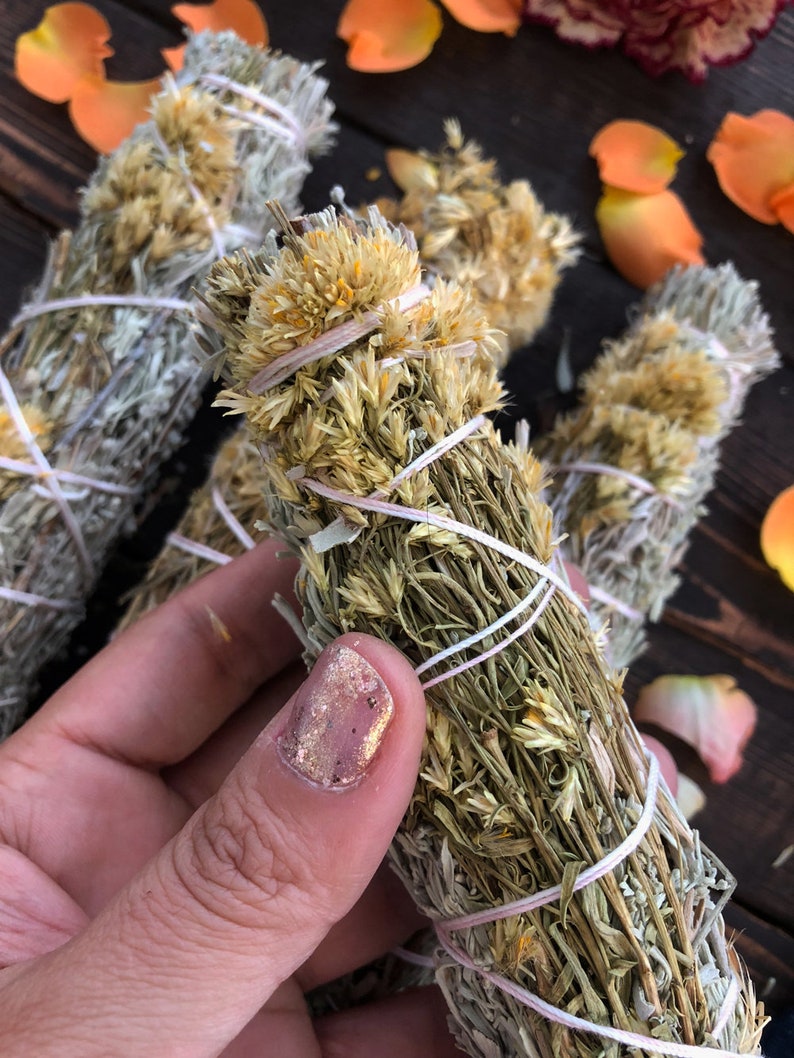 Organic Colorado Blue Sage Bundle 8-9 Large Bundles 1 - Etsy