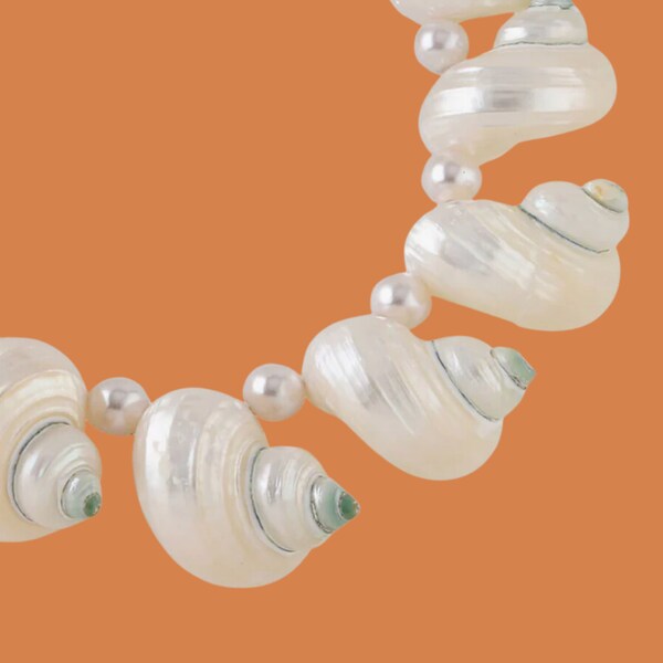 Shell Necklace - Etsy
