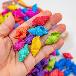 Mini Dyed Nassarius Reticulata Seashells – Set of 10 Shells | Vibrant ...