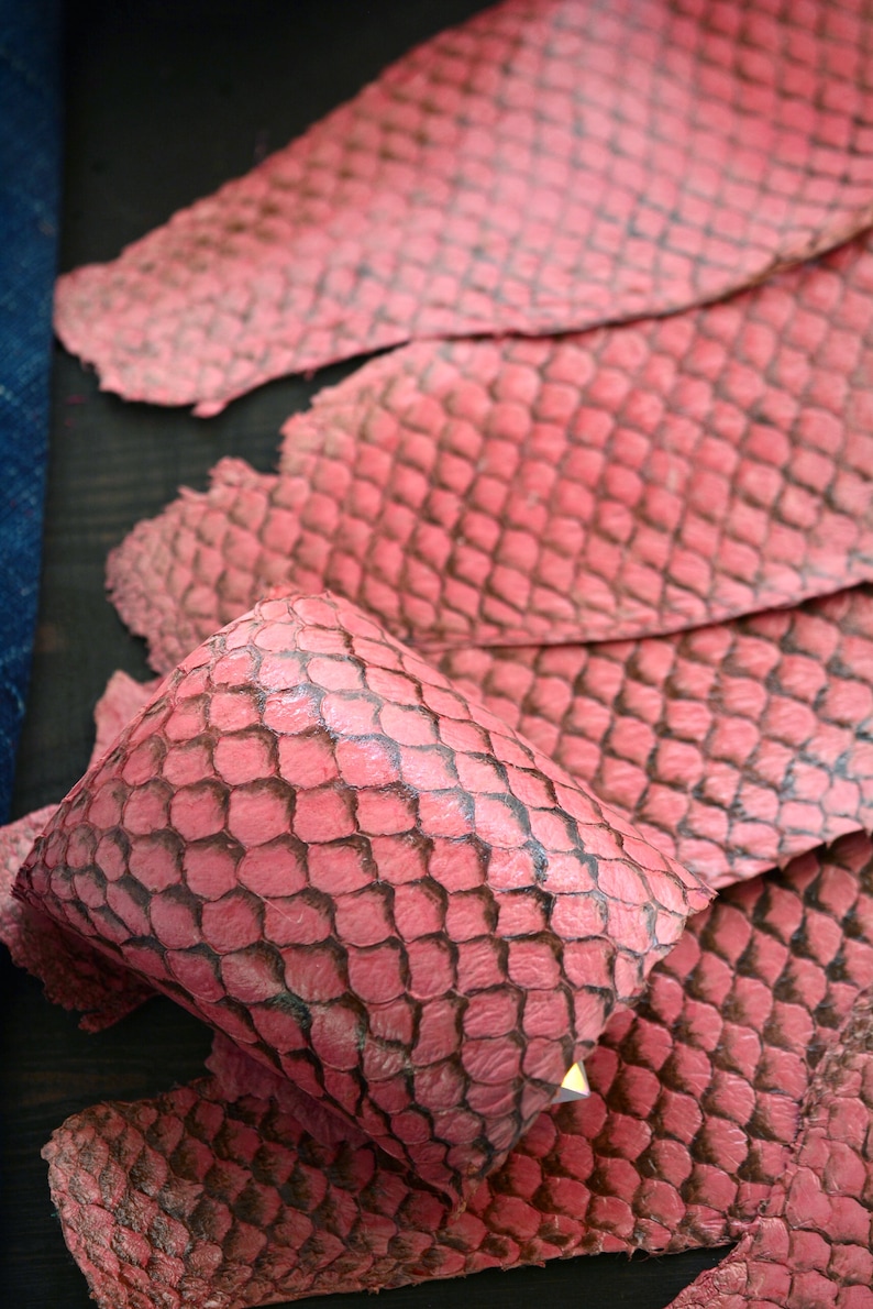 Light Pink, Tilapia Fish Leather Skin, Glossy Finish, 1 Piece / Fish ...