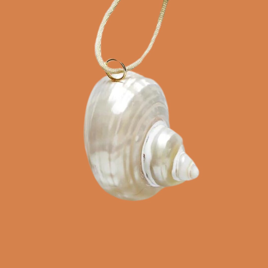 Turbo Shells: 5 Pieces, One Hole Pearl Turbo Shell for Jewelry Making ...