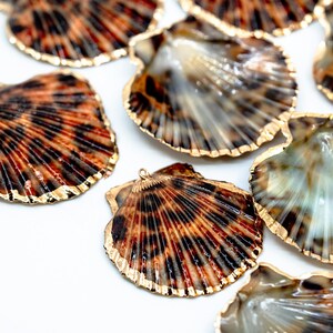 Leopard Print Seashell Pendants With Gold Plated Edges, Sold by Each ...