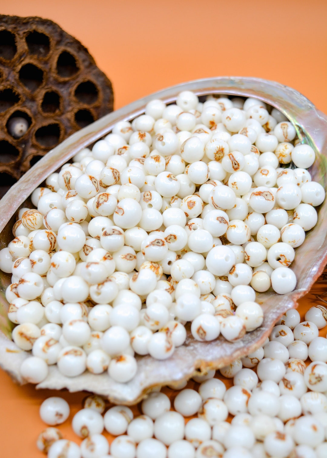 Bright White: Real Acai Beads From South America, 6-10mm | Pick Your ...