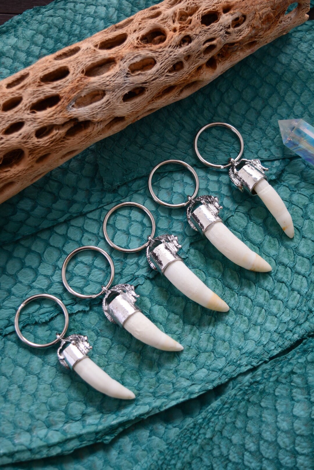 Alligator Tooth Keychain: One Naturally Shed Gator Amulet, Shaman Tool ...