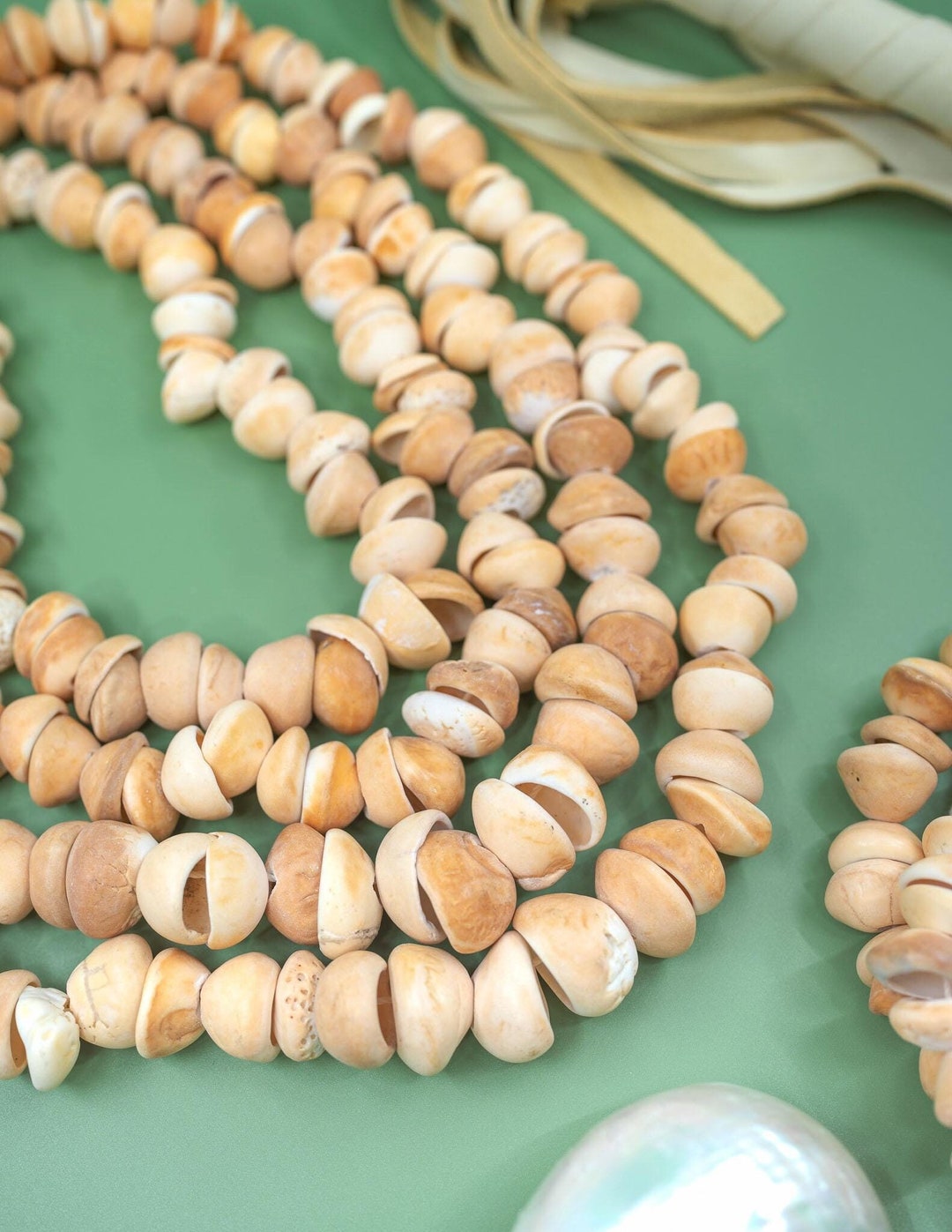 African Cone Shell Beads Necklace - 31 Inches, 80 Plus Beads | Unique ...