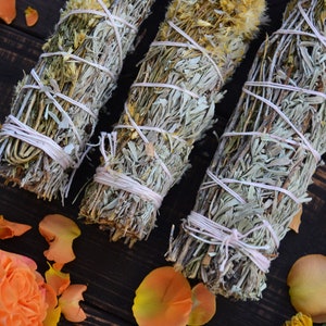 Organic Colorado Blue Sage Bundle, 8-9" Large Bundles, 1 Stick ...