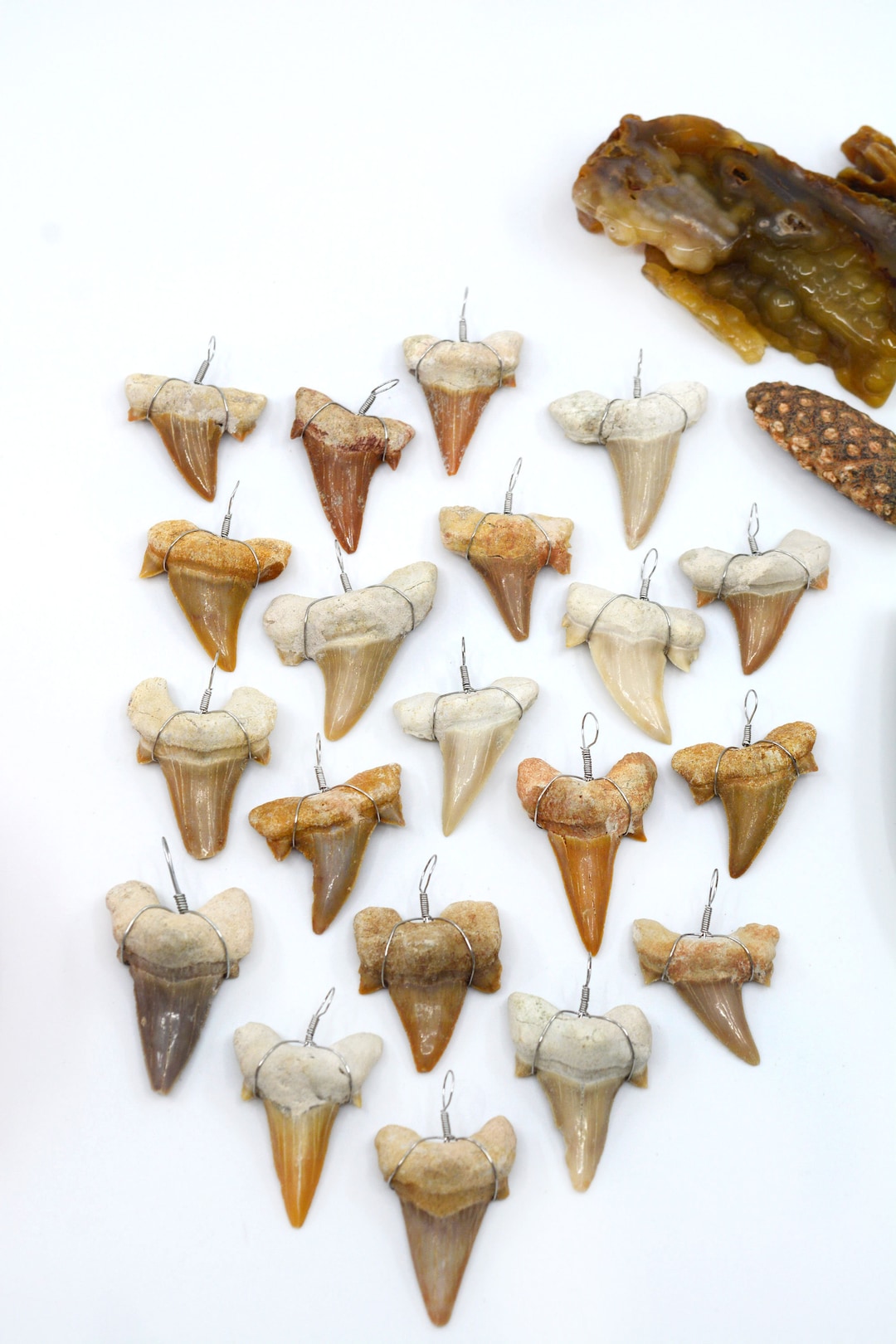 Wire Wrapped Fossilized Shark Teeth Pendant | Authentic Moroccan ...