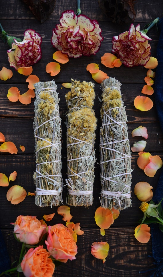 Organic Colorado Blue Sage Bundle 8-9 Large Bundles 1 - Etsy