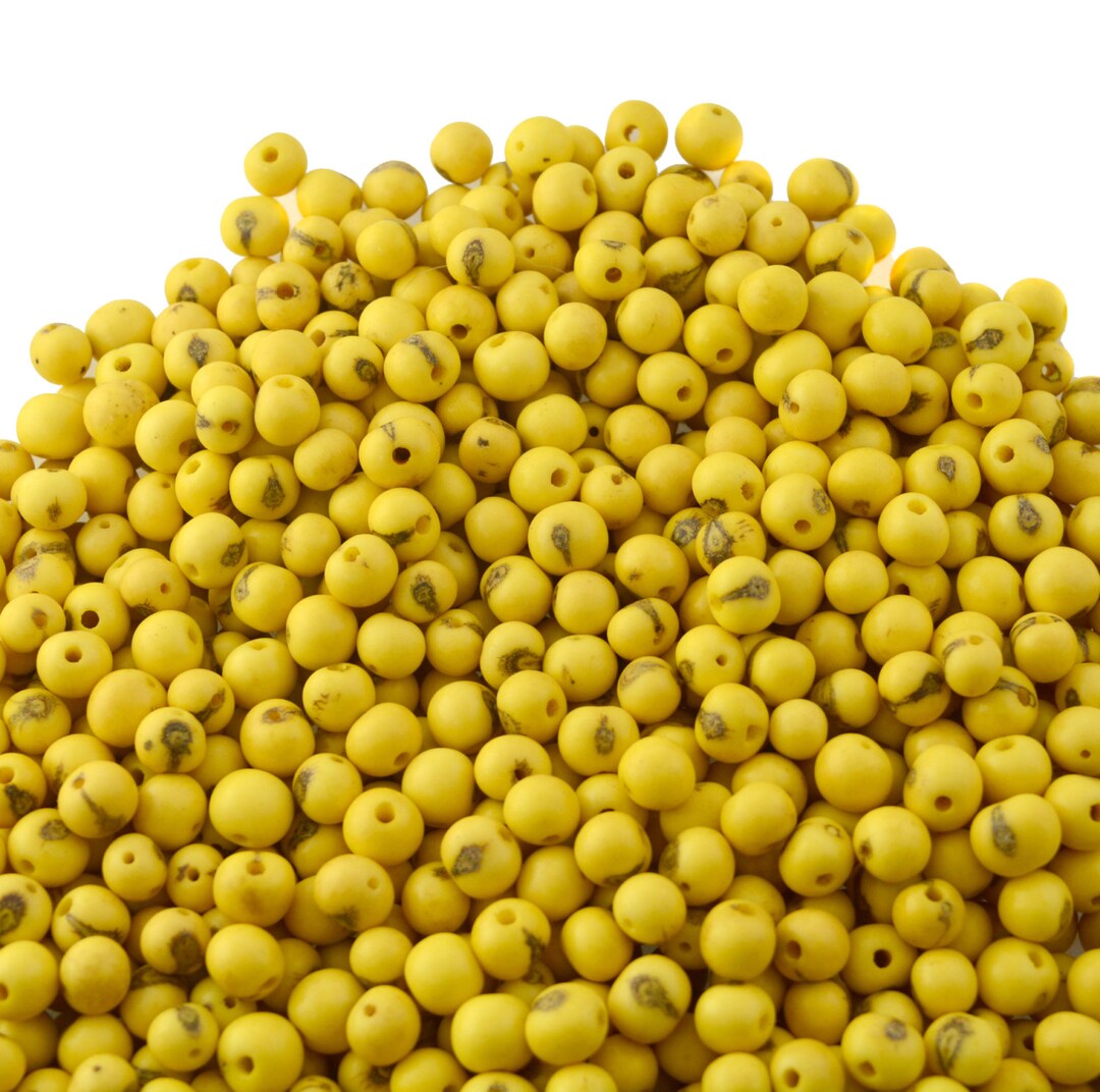 Baby Yellow: Real Acai Beads From South America, 6-10mm | Pick Your ...