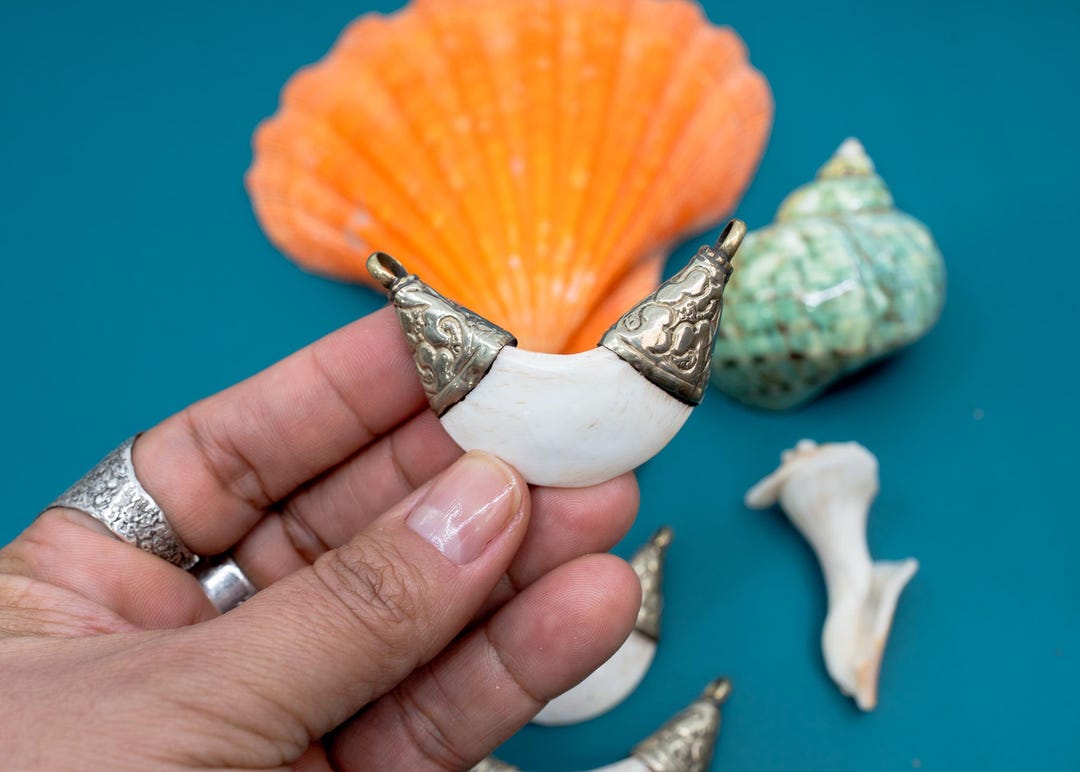 Tibetan Crescent Moon Conch Shell Pendant – Handmade in Nepal, Natural ...