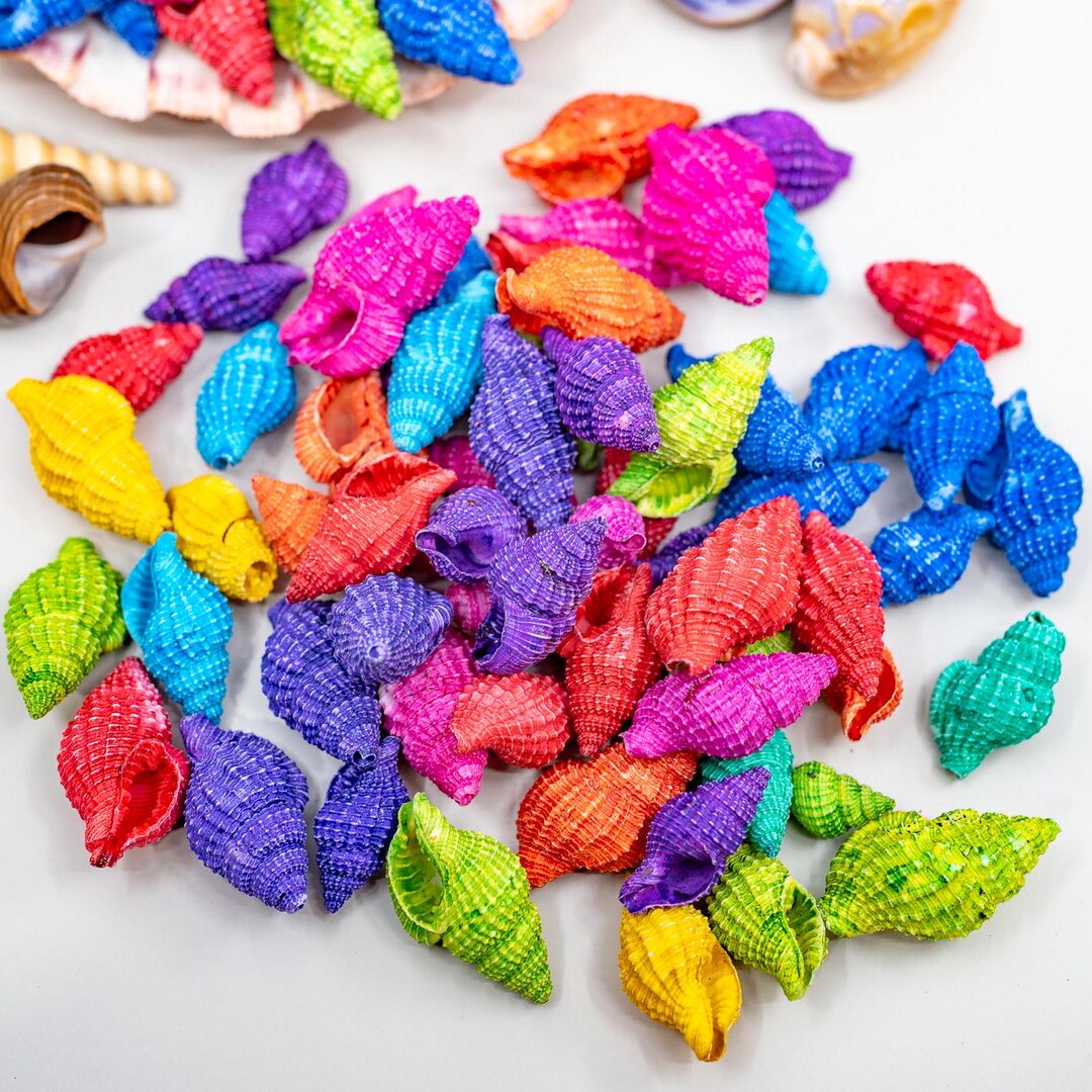 Mini Dyed Nassarius Reticulata Seashells – Set of 10 Shells | Vibrant ...