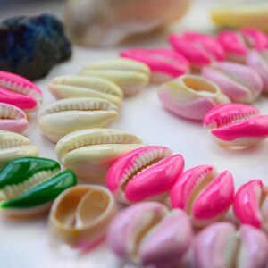 Hot Jellies: Enamel Cowrie Shell, Enamel Cowry Shells, Friendship ...