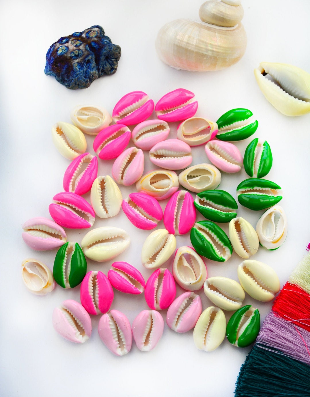 Hot Jellies: Enamel Cowrie Shell, Enamel Cowry Shells, Friendship ...