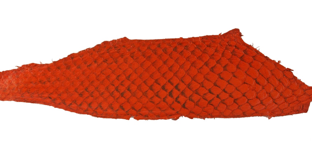 Fire ORANGE Exotic Glossy Eco Friendly, CHROME Free, Real Tilapia Fish ...