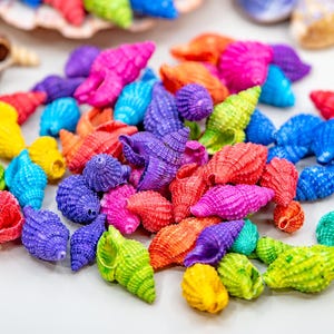 Mini Dyed Nassarius Reticulata Seashells – Set of 10 Shells | Vibrant ...