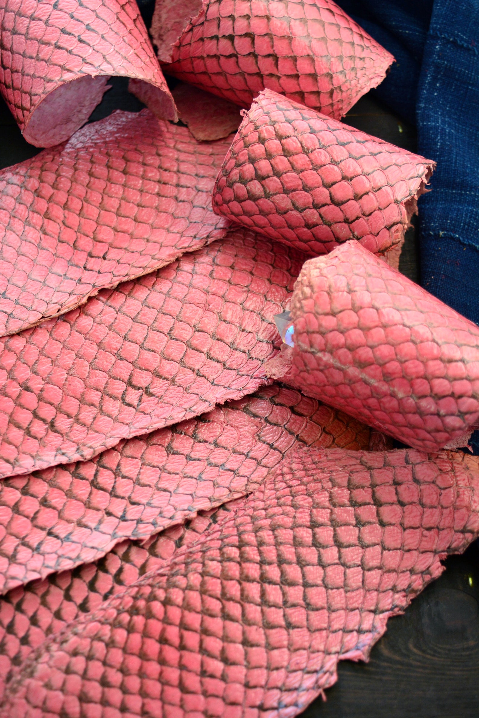 Light Pink Tilapia Fish Leather Skin Glossy Finish 1 piece | Etsy