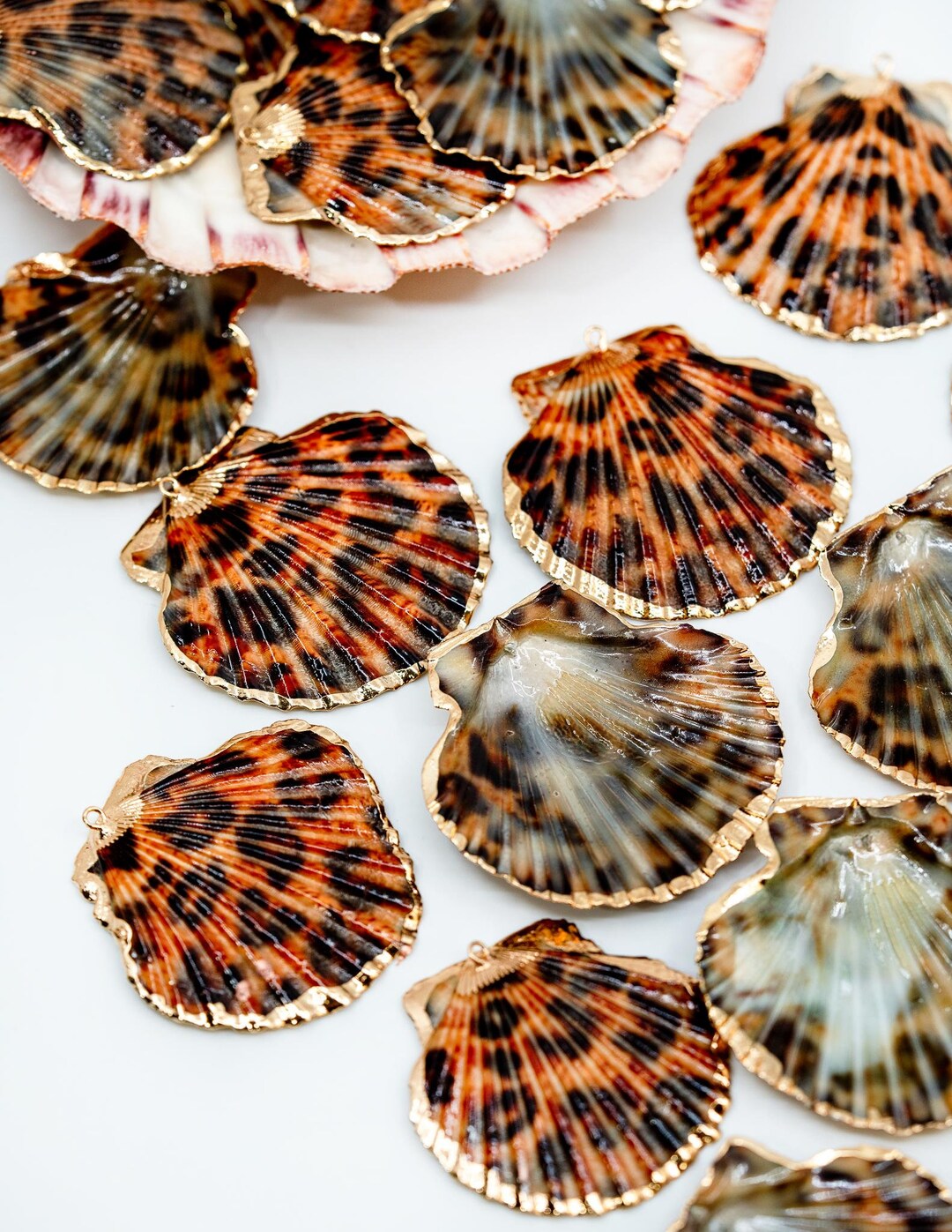 Leopard Print Seashell Pendants With Gold Plated Edges, Sold by Each ...