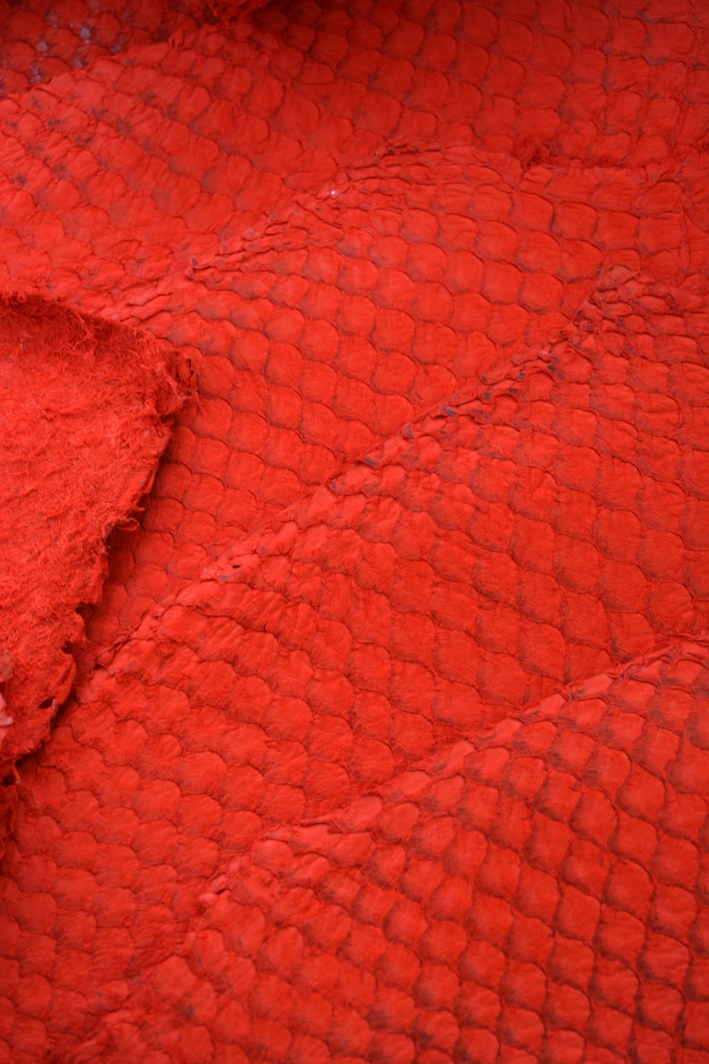 Scarlet Red, Tilapia Fish Leather Skin, Suede Finish, 1 Piece / Fish ...