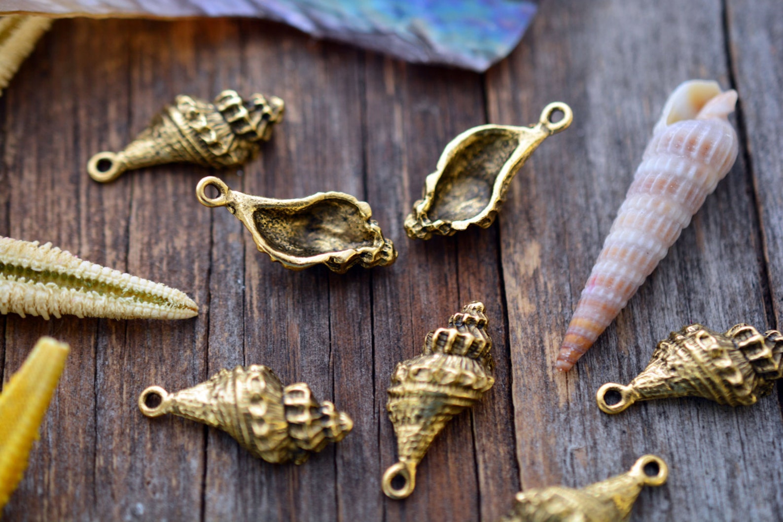 Antique Gold Trumpet Shell Charms, 10x21mm, 2pcs / Nunn Designs, Shell ...