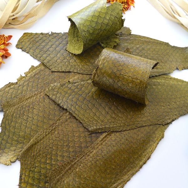 Green Fish Leather - Etsy