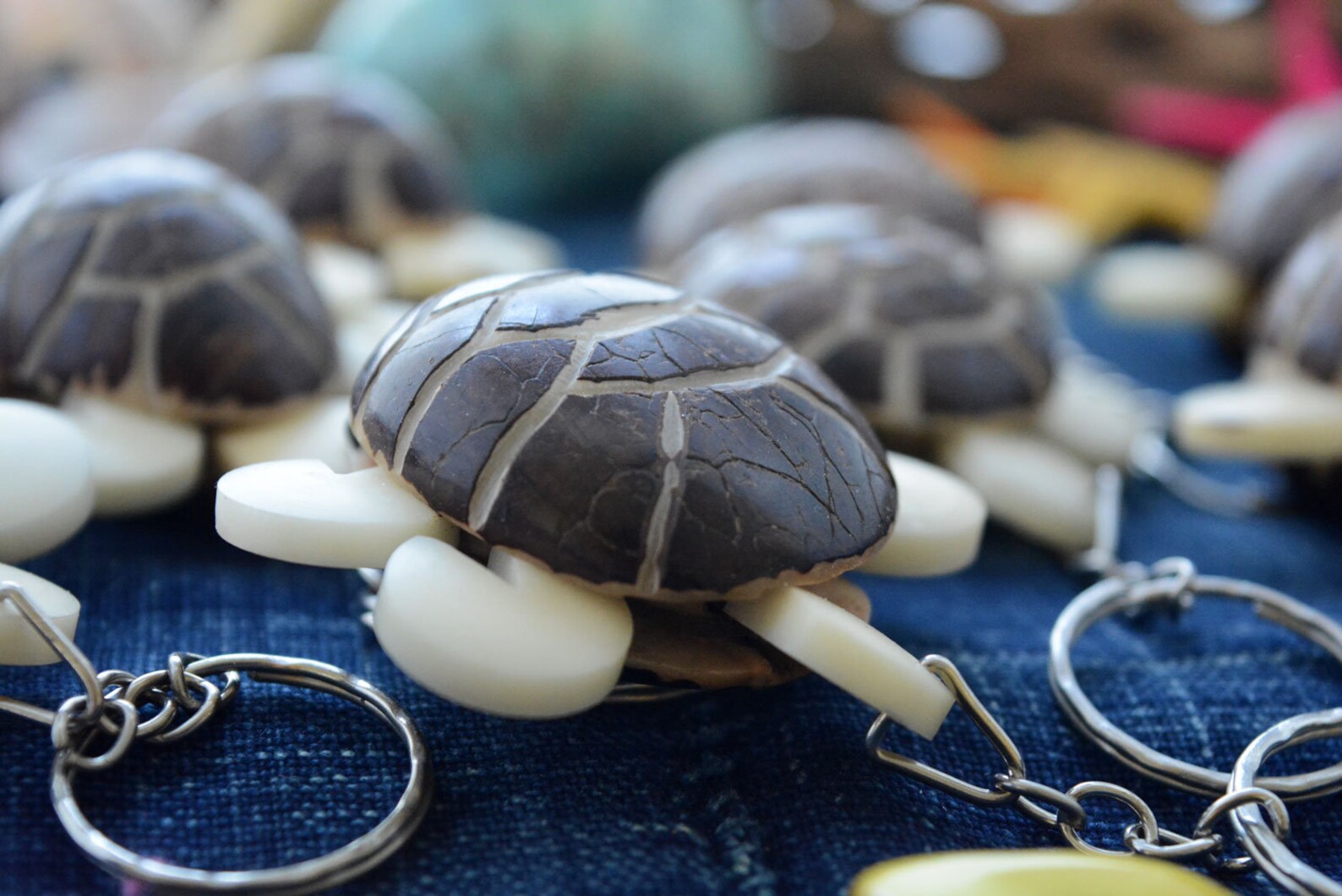 Sea Turtle: Natural Tagua Carvings 53x50mm Sea Turtle | Etsy