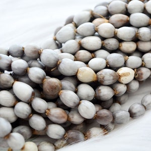 Job's Tears Seeds: Natural Gray Jobs Tears, 8-10mm, 100+ Beads (36 ...