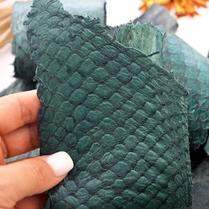Deep Teal Blue: Tilapia Fish Leather Skin, Glossy Finish, 1 Piece ...