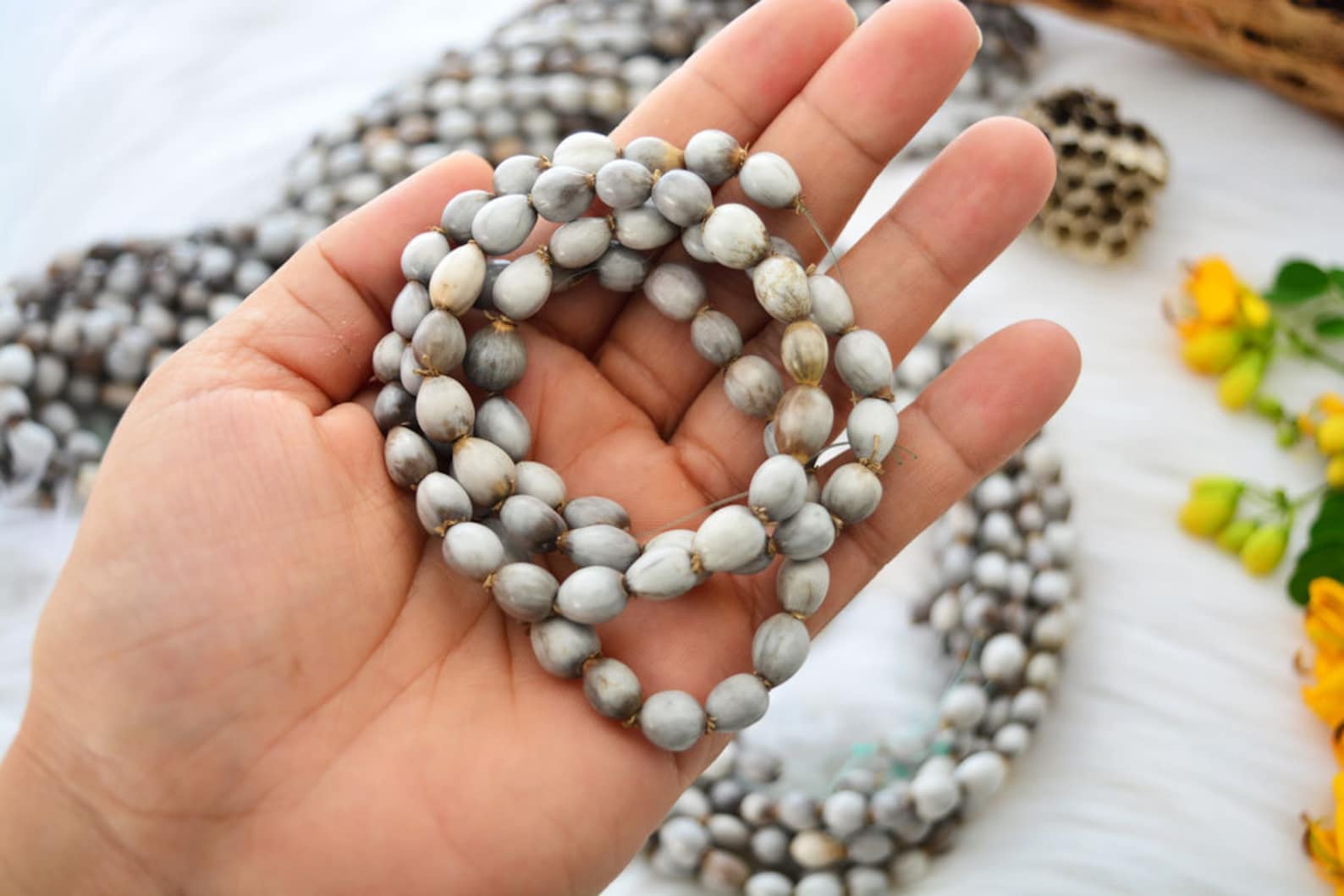 Job's Tears Seeds: Natural Gray Jobs Tears, 8-10mm, 100 Beads 36 Strand ...