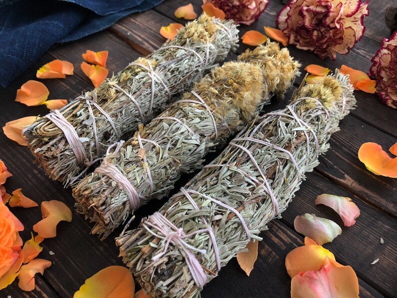 Organic Colorado Blue Sage Bundle 8-9 Large Bundles 1 - Etsy