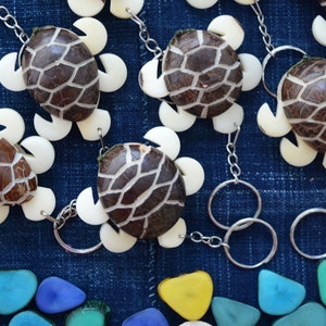 Sea Turtle: Natural Tagua Carvings, 53x50mm, Sea Turtle Keychain, 1 ...