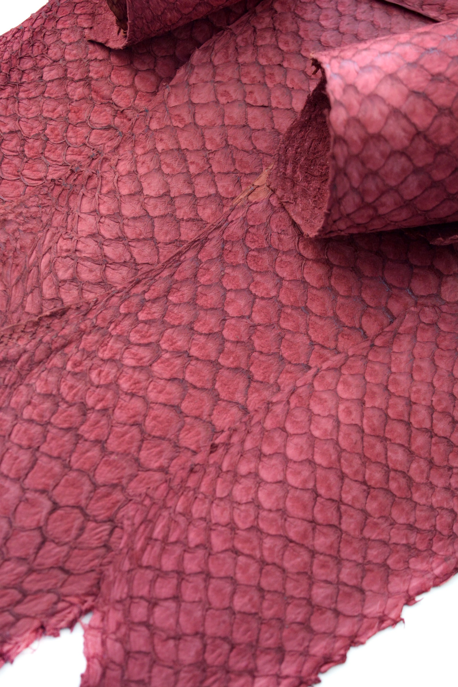 Plum Purple: Tilapia Fish Leather Skin Suede Finish 1 Piece - Etsy