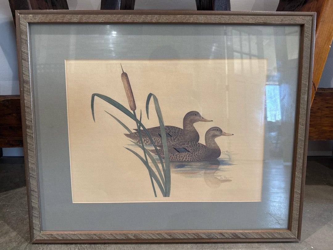 Vintage Jim Bonner Wildlife Duck With Mate Matted Framed Print - Etsy