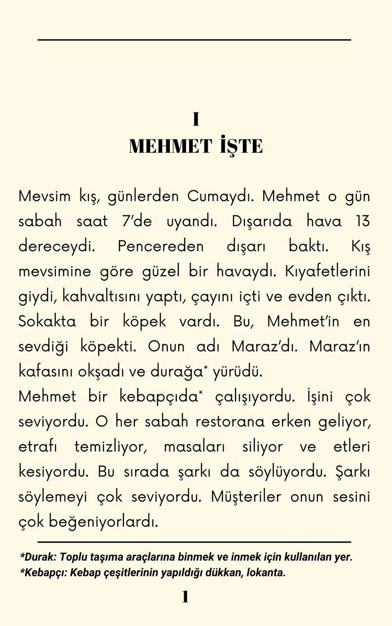 Turkish Book A2 | Language Learning | Story Books | Turkish for ...