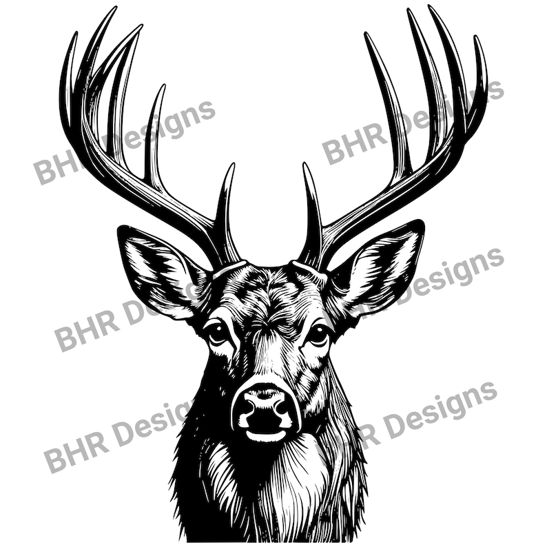 Whitetail Deer Buck Vector Drawing Svg Png Jpg Pdf - Etsy