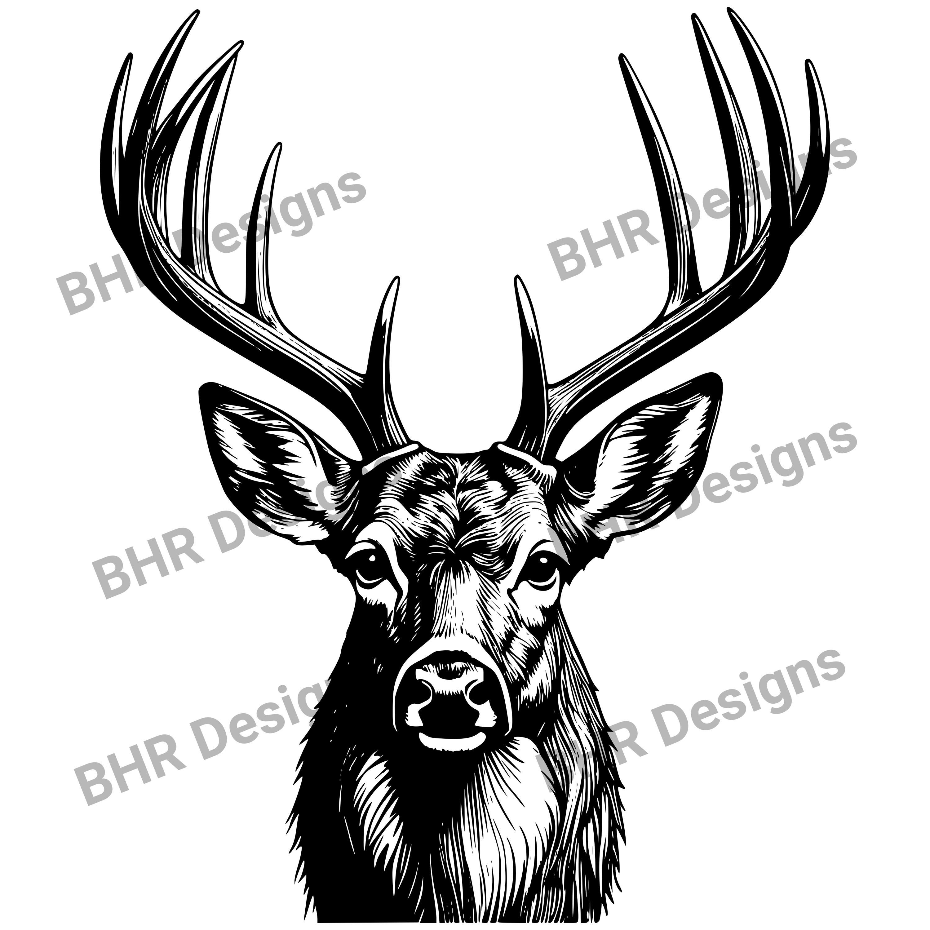 Whitetail Deer Buck Vector Drawing Svg Png Jpg Pdf - Etsy