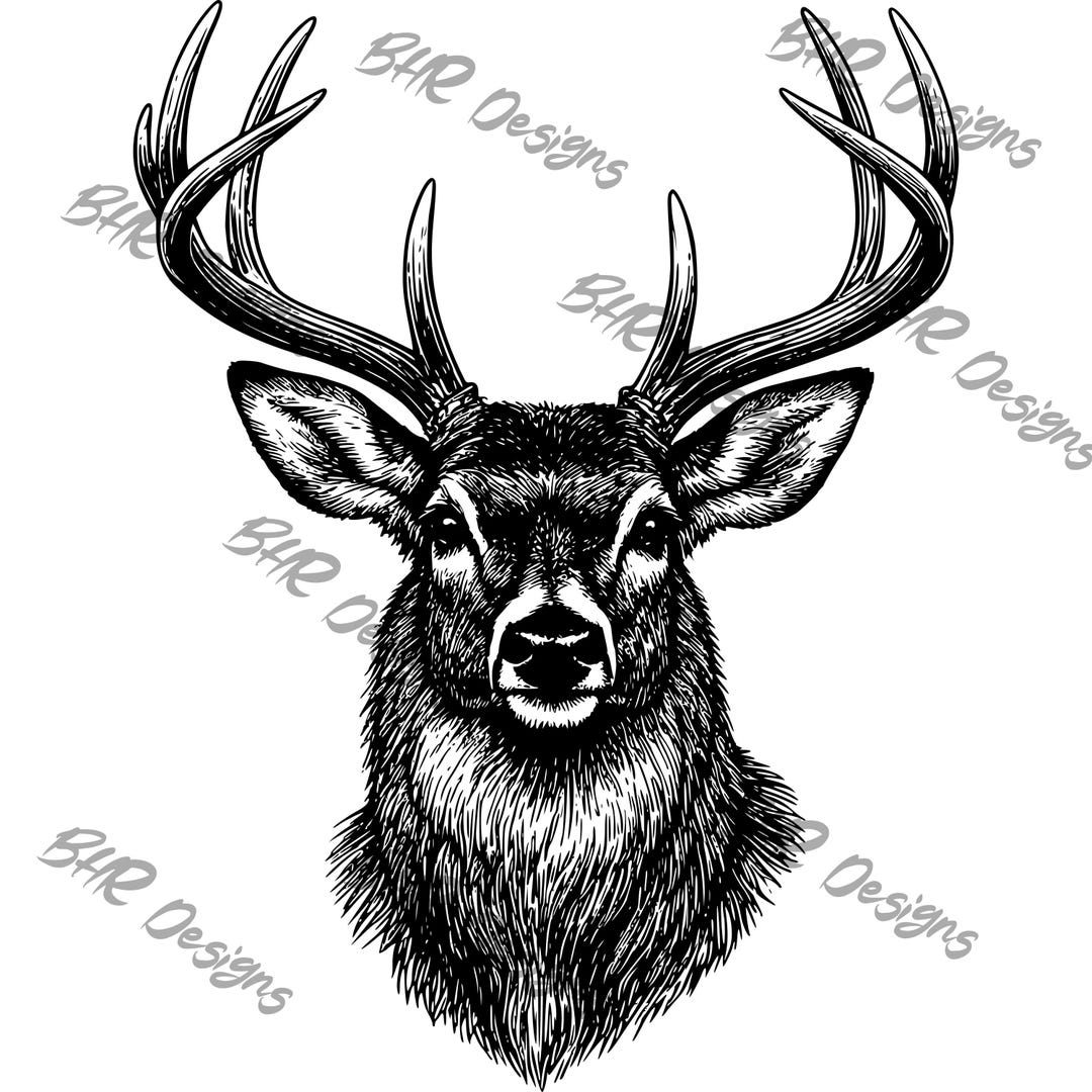 Whitetail Buck Deer Vector Drawing Jpg Svg Png Pdf - Etsy