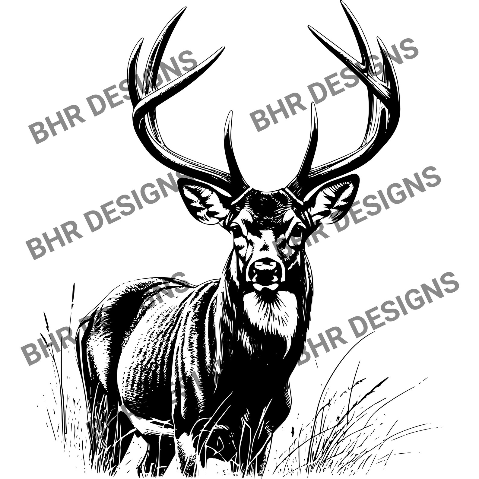 Whitetail Buck Deer Vector Drawing Jpg Svg Png Pdf - Etsy