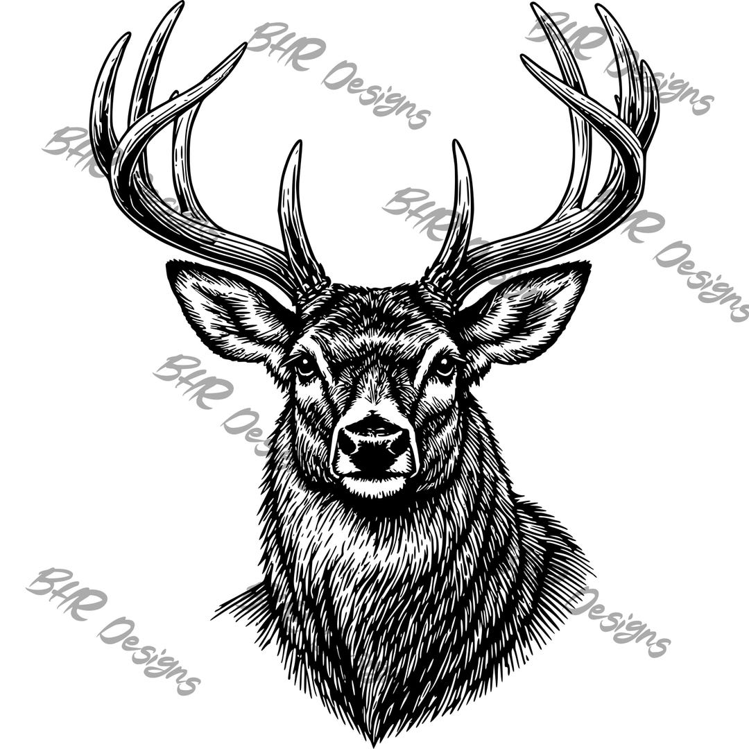 Whitetail Buck Deer Vector Drawing Jpg Svg Png Pdf - Etsy