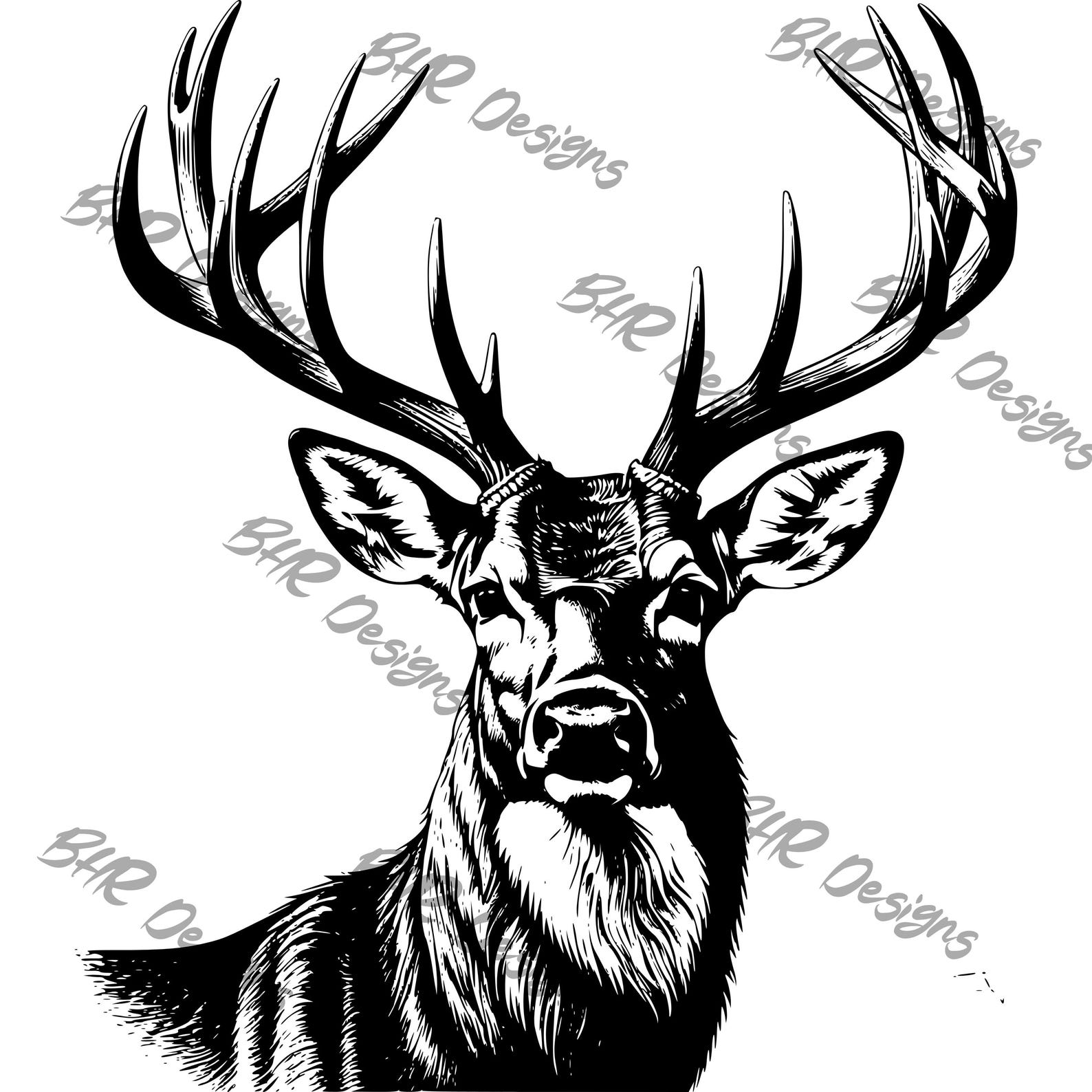 Whitetail Buck Deer Vector Drawing Jpg Svg Png Pdf - Etsy
