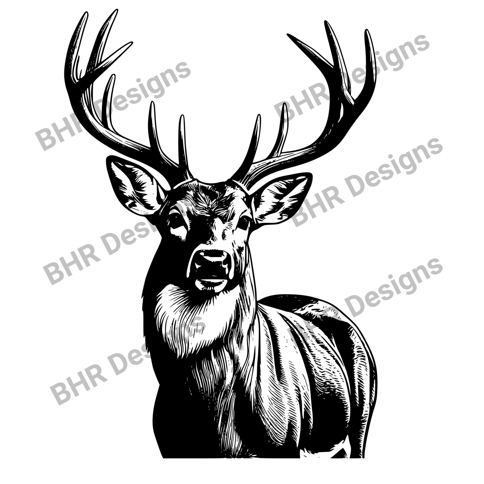 Whitetail Buck Deer Vector Drawing Jpg Svg Png Pdf - Etsy