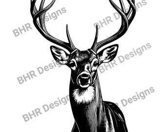 Whitetail Buck Deer Vector Drawing Jpg Svg Png Pdf - Etsy