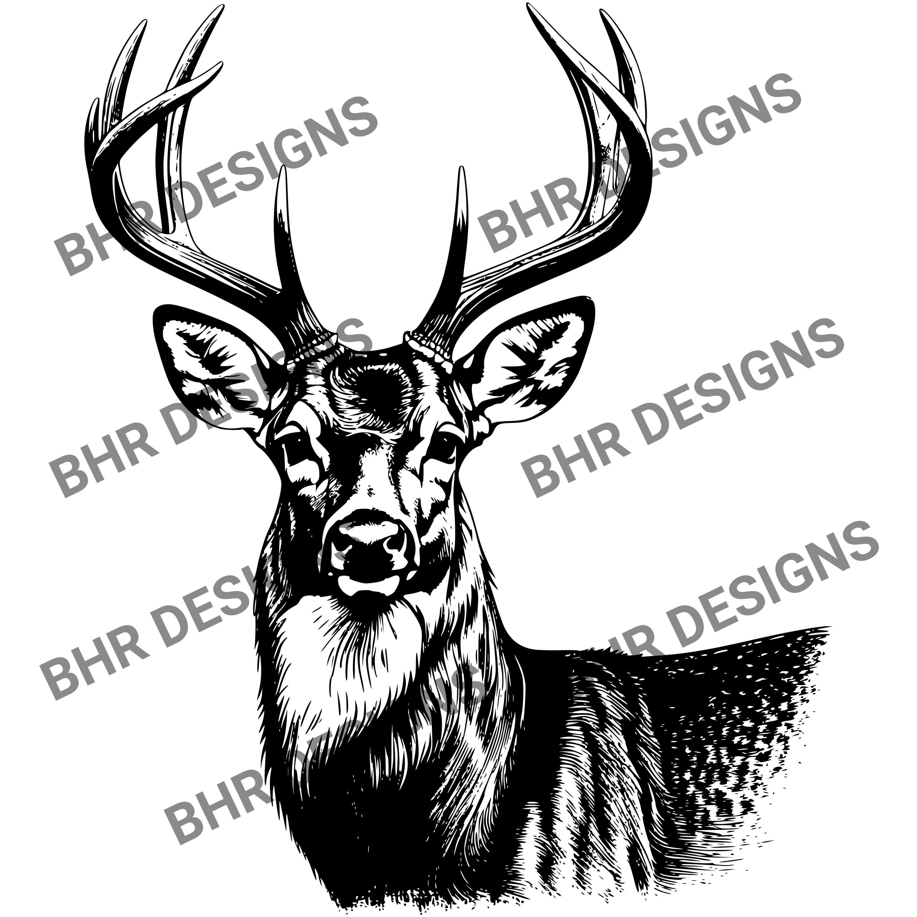 Whitetail Buck Deer Vector Drawing Jpg Svg Png Pdf - Etsy
