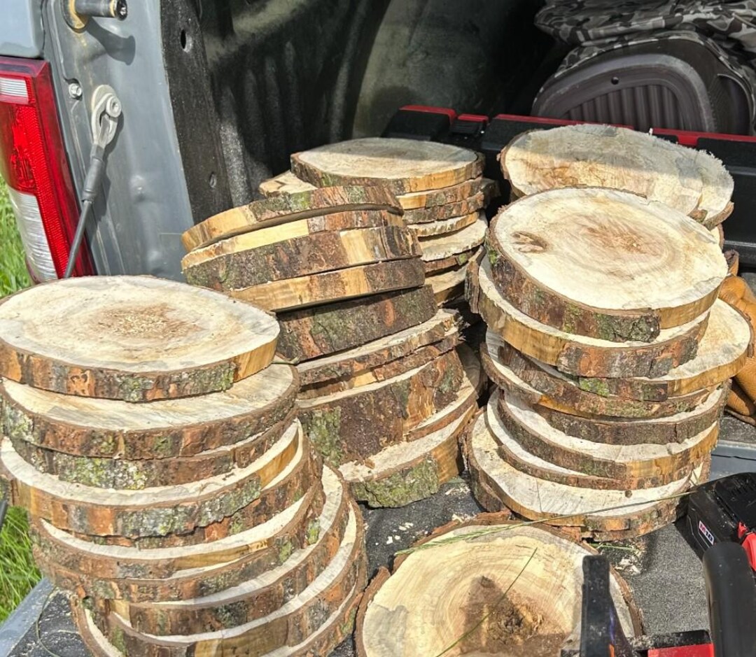 Wood Slice, Naturally Cut and Sanded, Cut From Michigan Oak, Birch, or ...