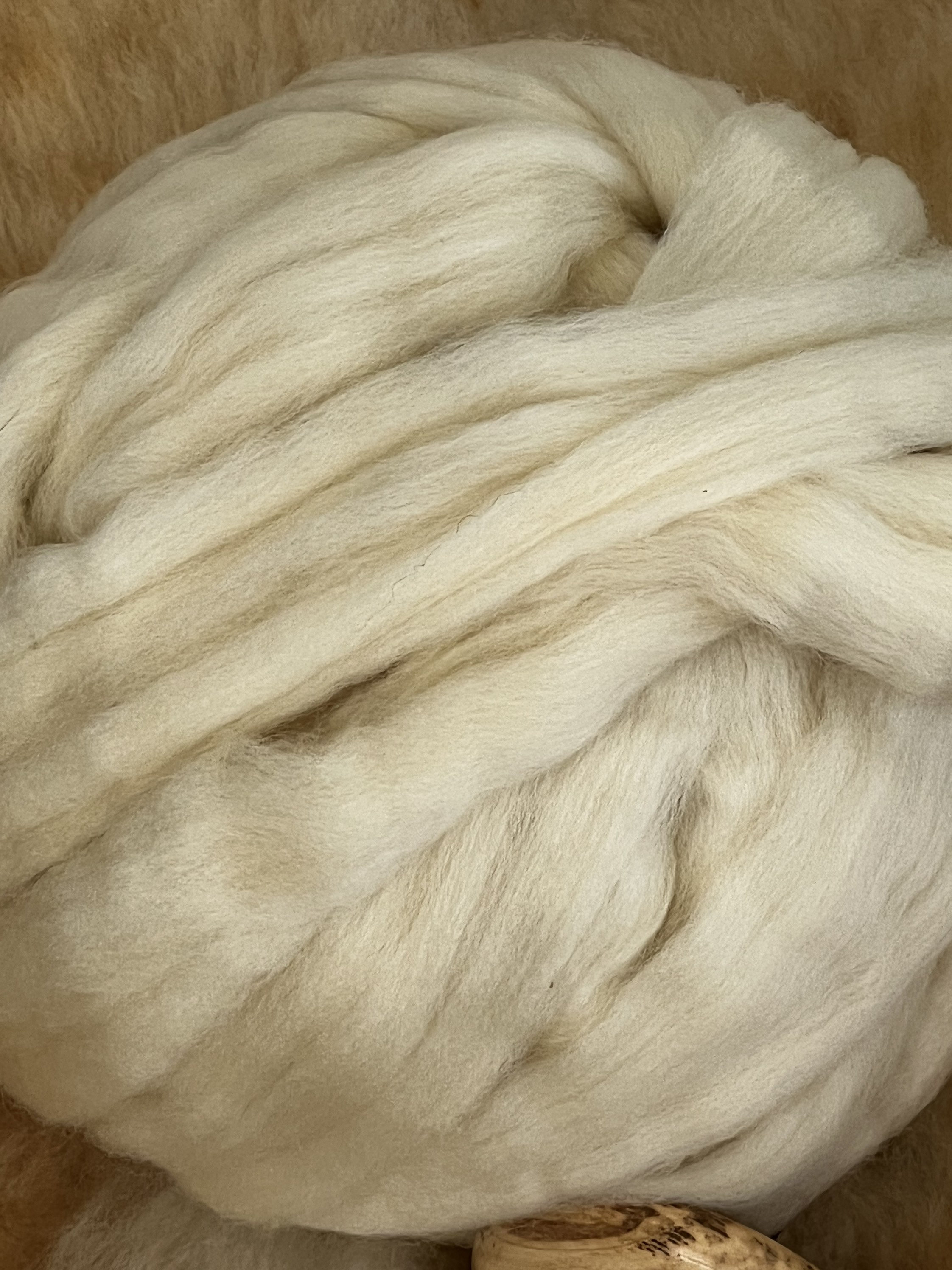 Skittles in Snowlight – Undyed Rambley Wool Top | White Combed Fiber ...