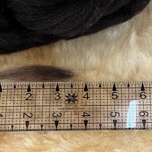 Rambley Sheep echo Combed Top 4 OZ. Professionally Processed at ...