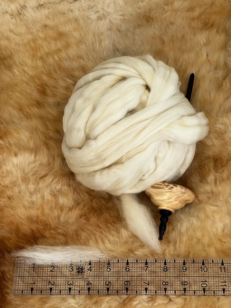 Skittles in Snowlight – Undyed Rambley Wool Top | White Combed Fiber ...